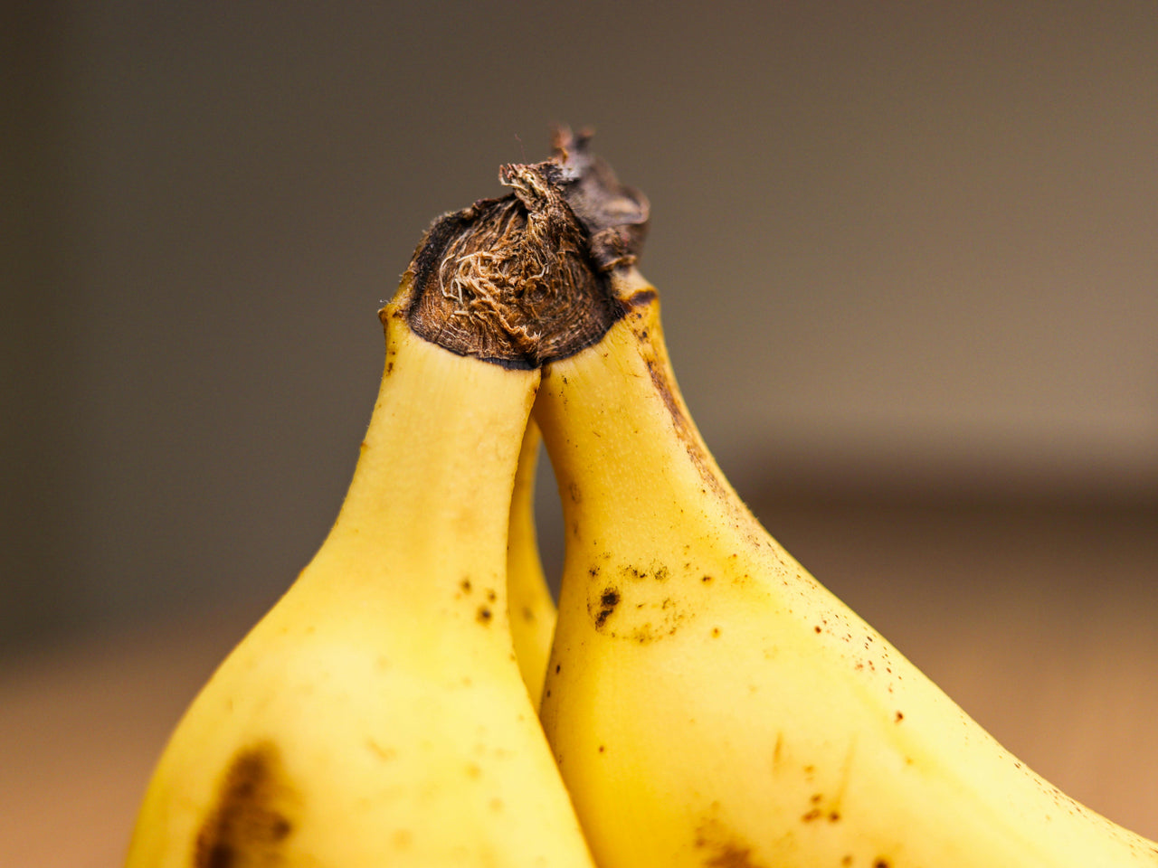 Don’t bin those bananas! Here’s how to save them – Great Green Systems Ltd